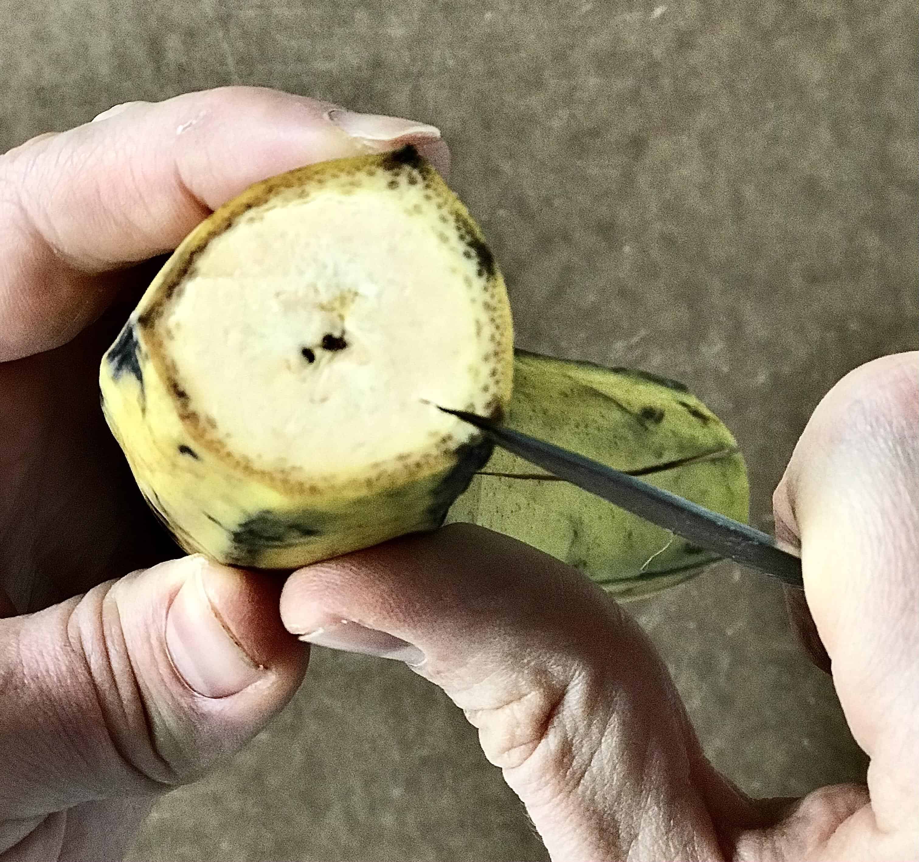 The 3 Best Ways to Cook Plantains - Paleo Gluten-Free Guy
